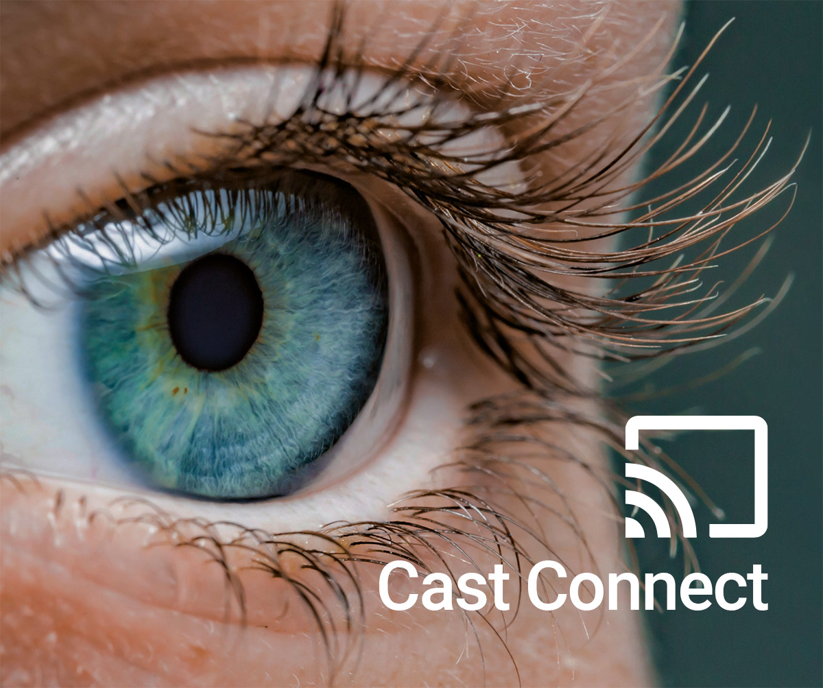 Fagor Multimedia Solutions launches Cast Connect, a secure and reliable ...
